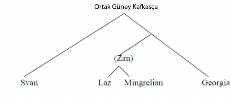 Lazca Kökeni ve Dil Ailesi - Laz Enstitüsü | Lazuri Enstitu | Laz Institute